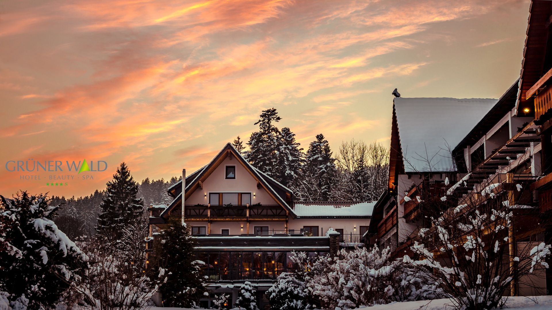 Pre-Christmas special - we give you a 10% discount! 12/16/2024 - 12/22 ...