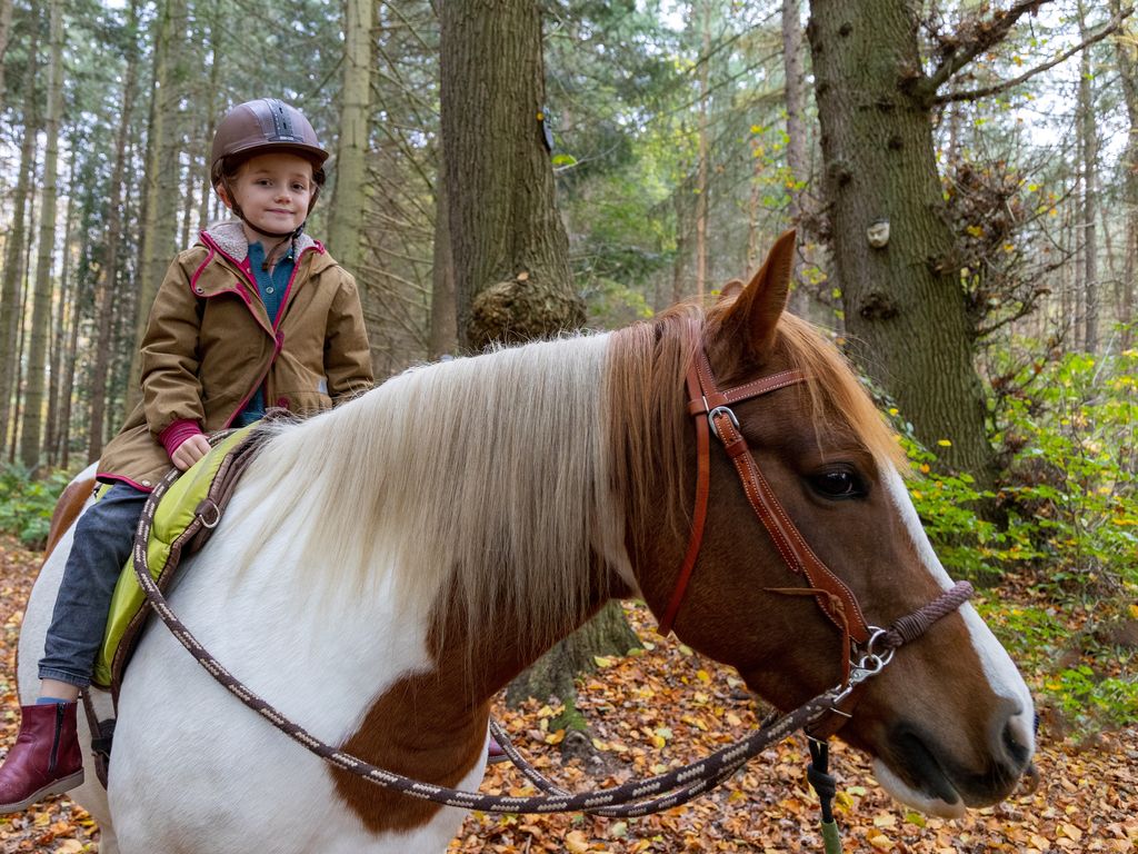 Reitzeit auf Gut Landegge 30.04.2026 - 03.05.2026, 04.05.2026 - 12.05. ...