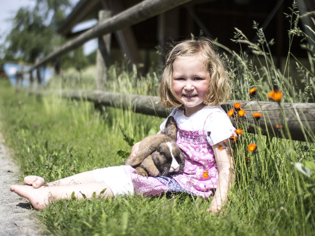 ZW: Langes Wochenende voller Erlebnisse für Groß und Klein ...