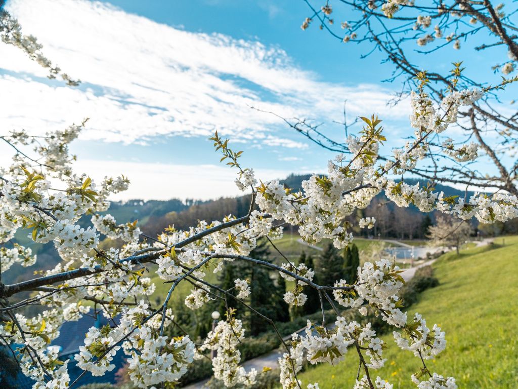 DOLLENBERG SPECIAL: 4=3 01/05/2025 - 12/19/2025 - Relais & Châteaux ...