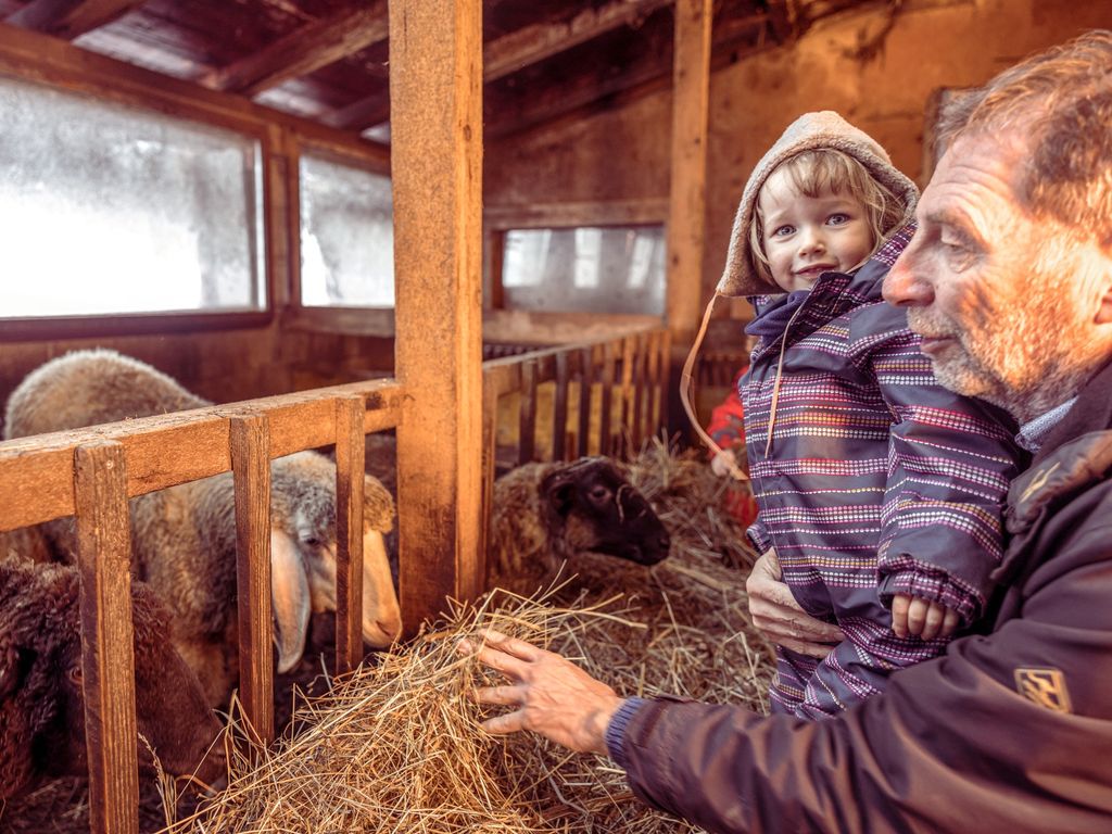 HAPPY TIME MIT OMA/OPA 08.03.2025 - 12.04.2025, 12.12.2025 - 21.12.2025 ...